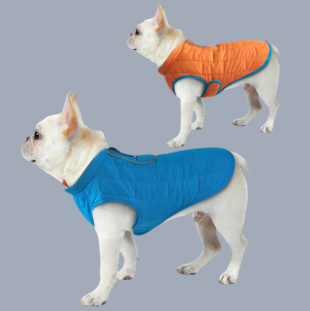 Reversible Jacket for French Bulldog - Frenchie Complex