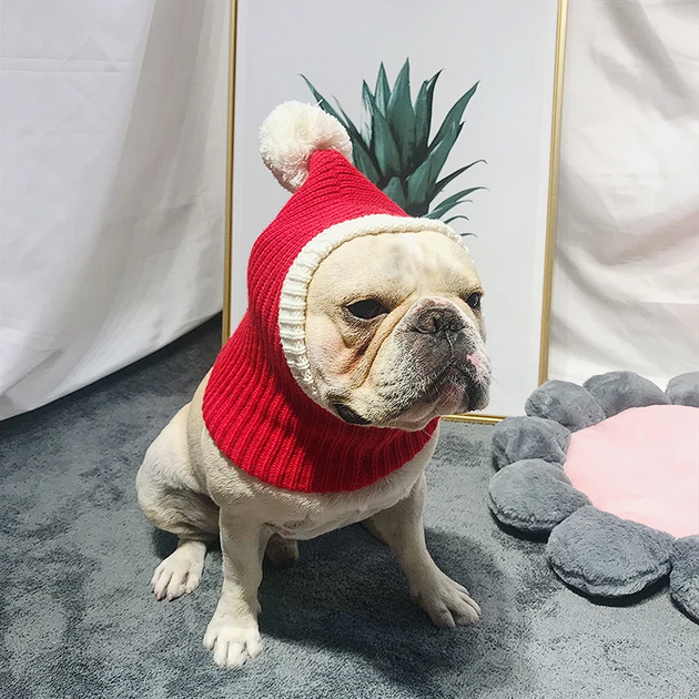 Christmas French Bulldog Hat - Frenchie Complex
