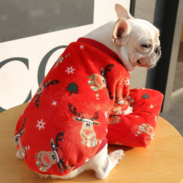 Winter Christmas Frenchie Sweater - Frenchie Complex Shop