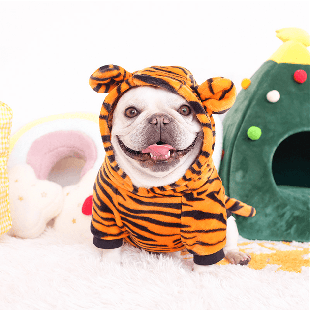 Tiger French Bulldog Costume - Frenchie Complex Shop